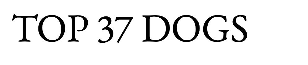 Facts about figures: numeric styles with OpenType features | Responsive ...